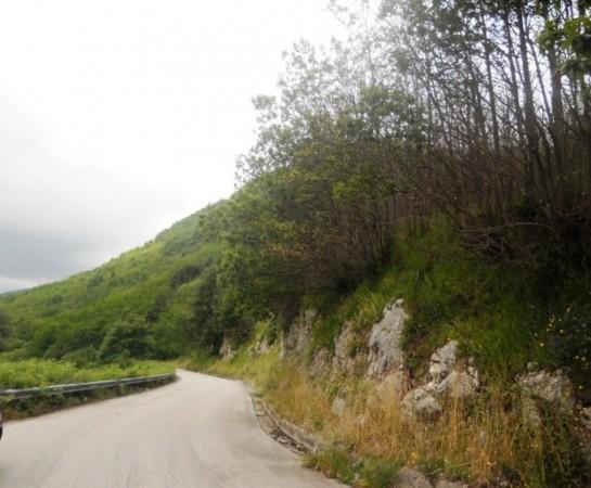 Terreno agricolo in vendita a Forino