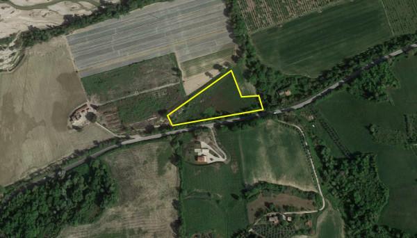 Terreno agricolo in vendita a Montefiore Dell'Aso