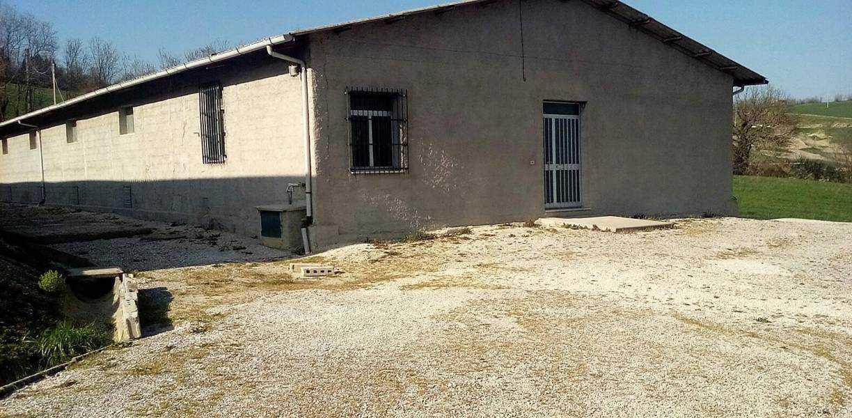 Rustico in vendita a Mondavio