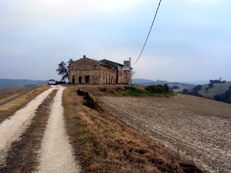 Terreno agricolo in vendita a Mondavio
