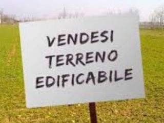 Terreno edificabile in vendita a Asciano