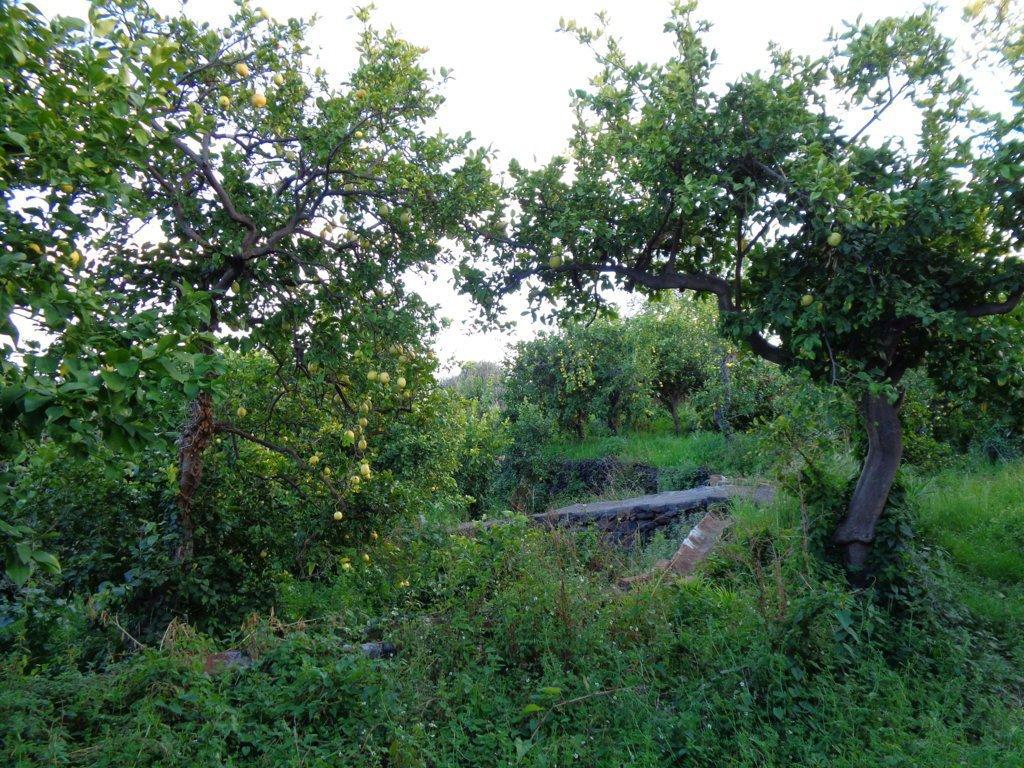 Terreno edificabile in vendita a Acireale