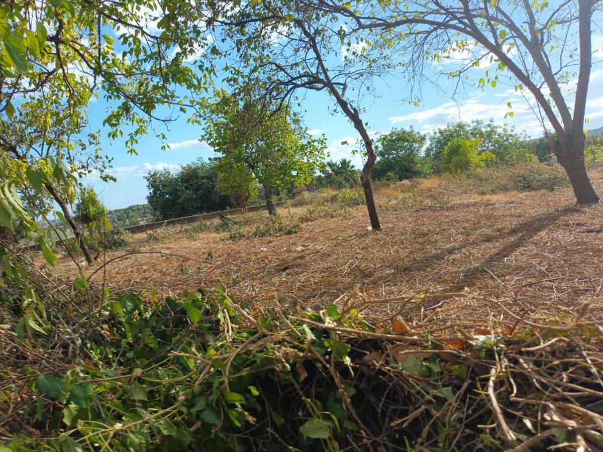Terreno agricolo in vendita a Aci Sant'Antonio