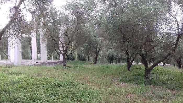 Terreno agricolo in vendita a Itri