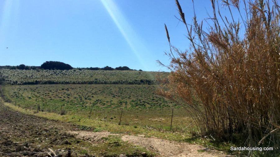 Terreno agricolo in vendita a Serdiana