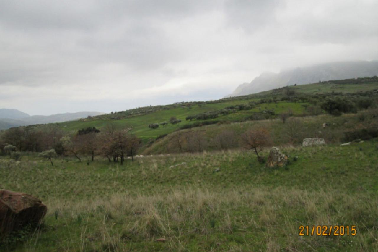 Terreno agricolo in vendita a Baucina