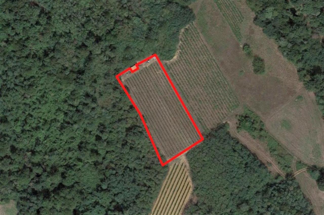 Terreno edificabile residenziale in vendita a Niella Tanaro