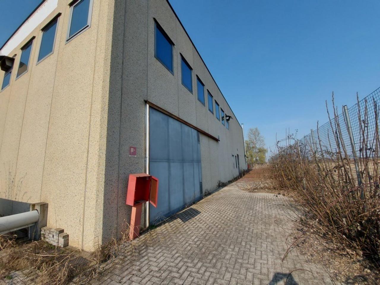 Capannone in vendita a Borgolavezzaro