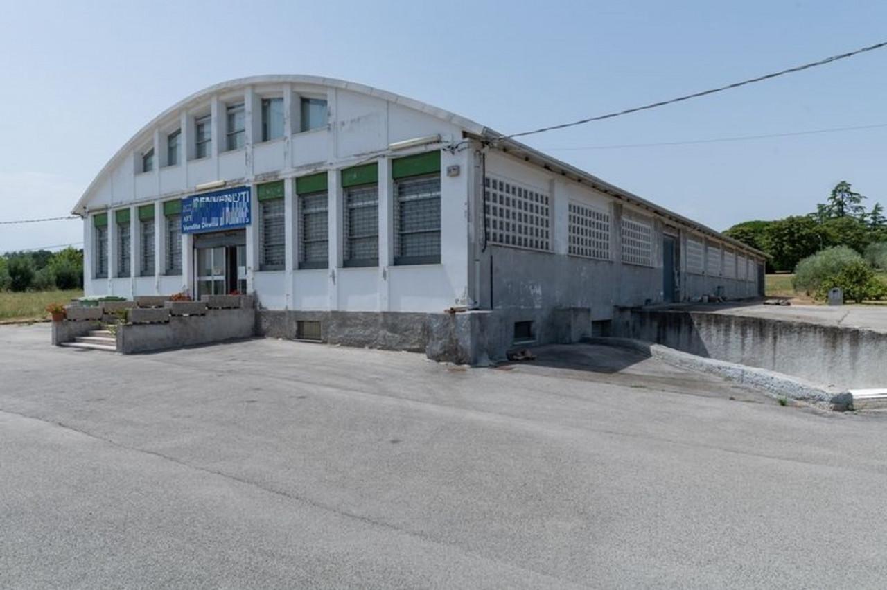 Capannone in vendita a San Clemente