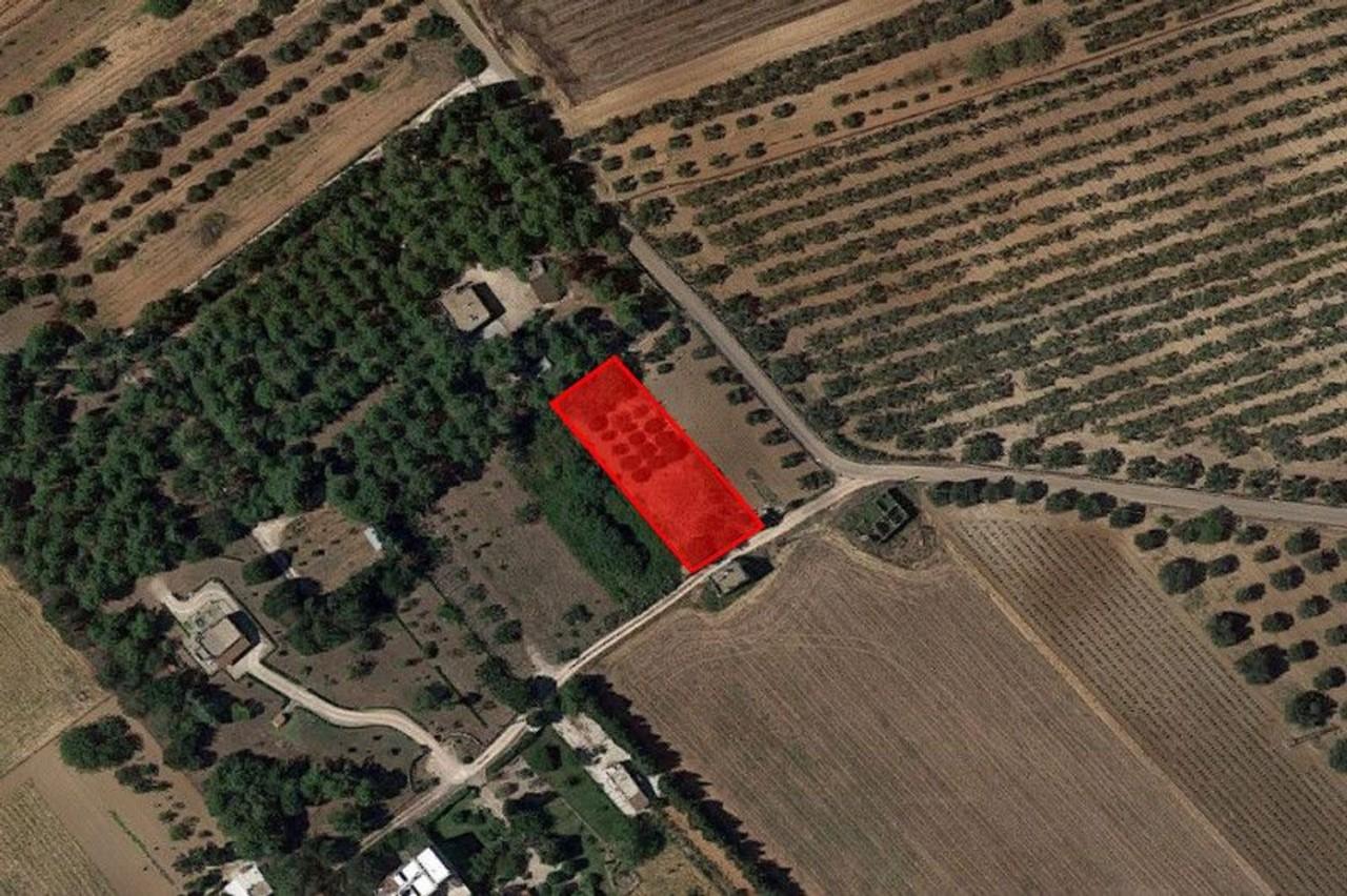 Terreno agricolo in vendita a Salice Salentino