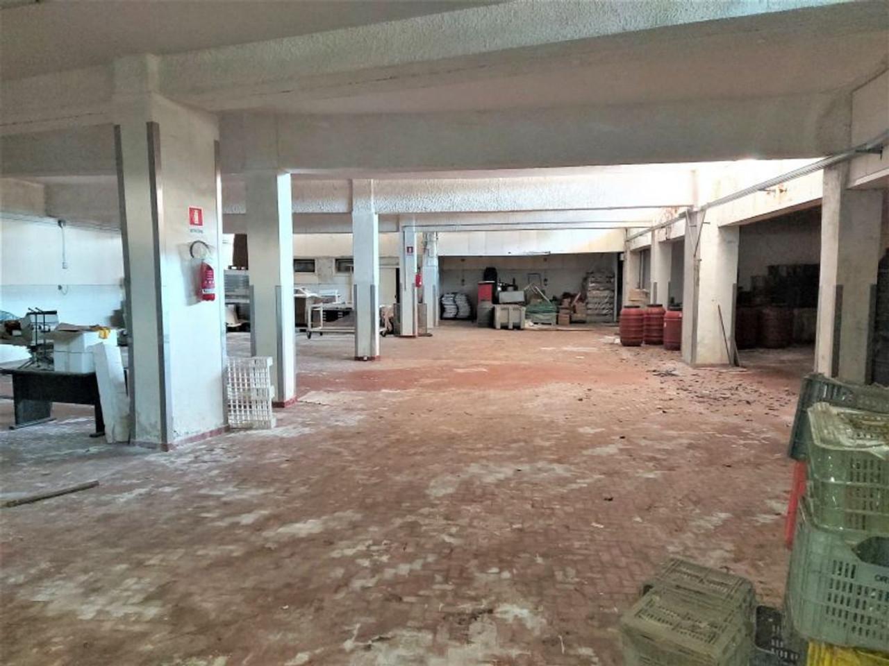 Laboratorio in vendita a Cori