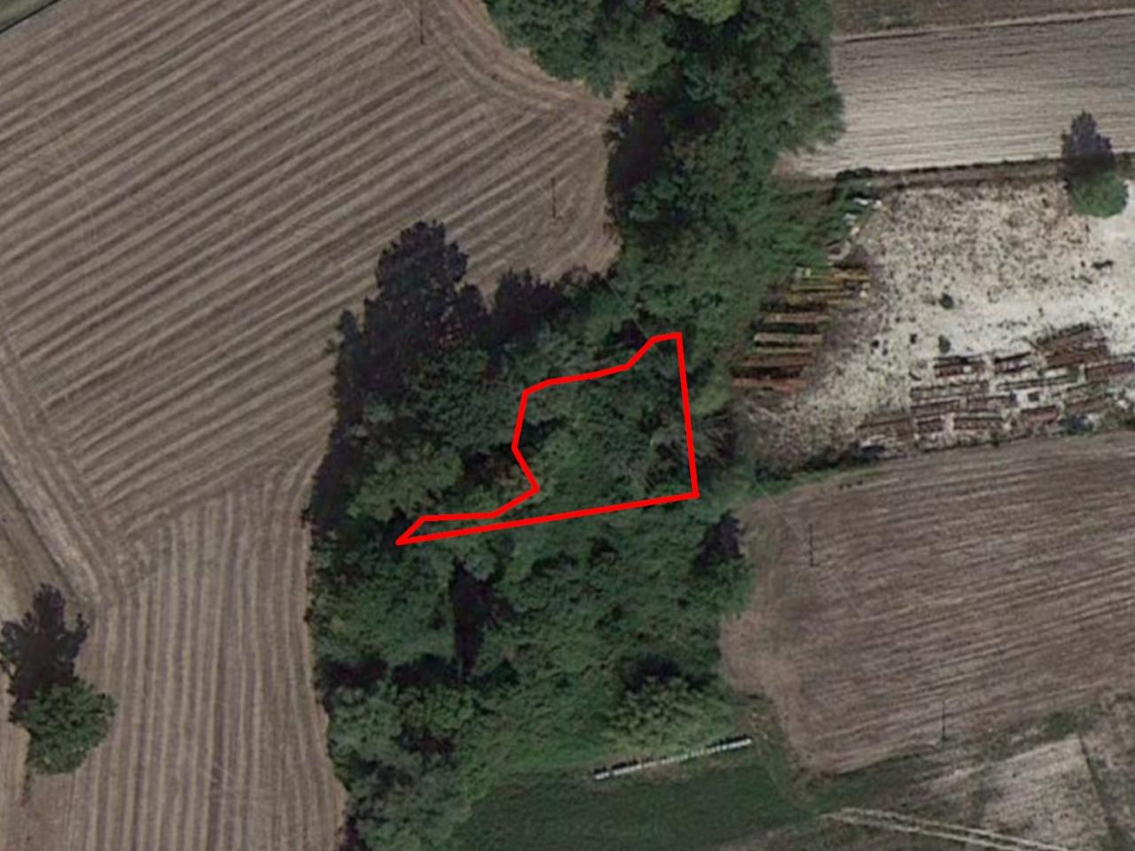 Terreno agricolo in vendita a Gualdo Tadino