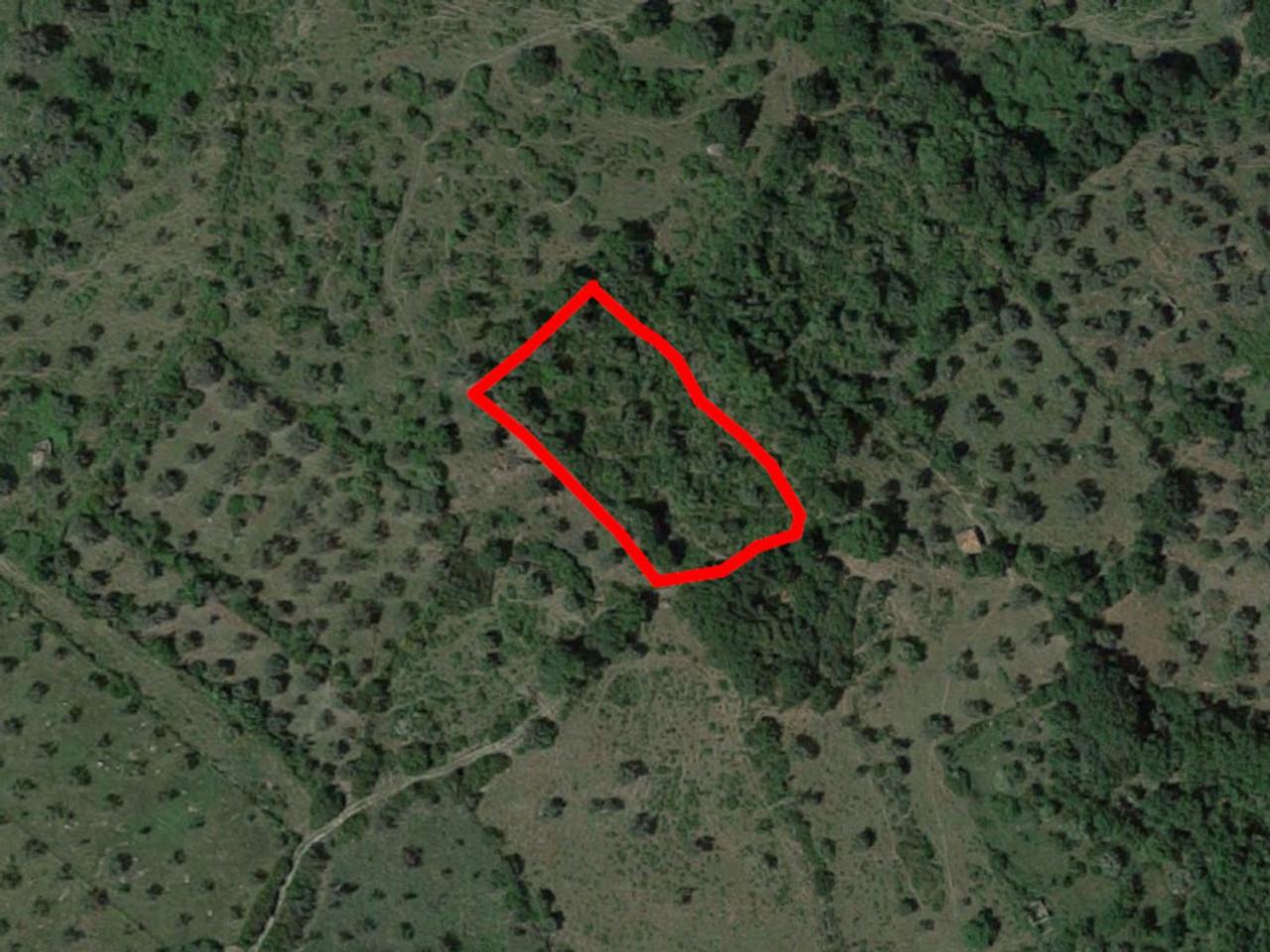 Terreno edificabile residenziale in vendita a San Fratello