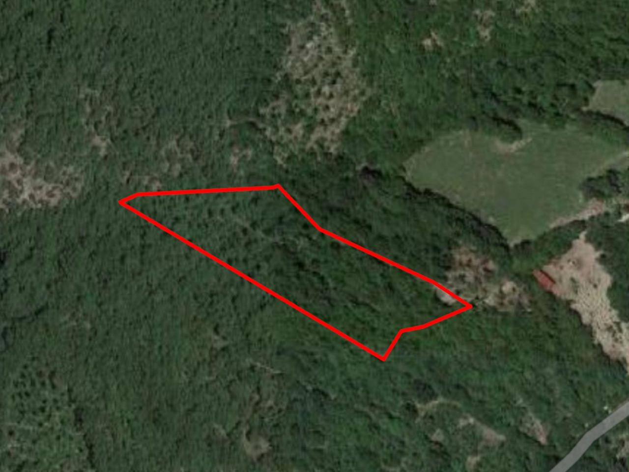 Terreno agricolo in vendita a Monte San Giovanni In Sabina