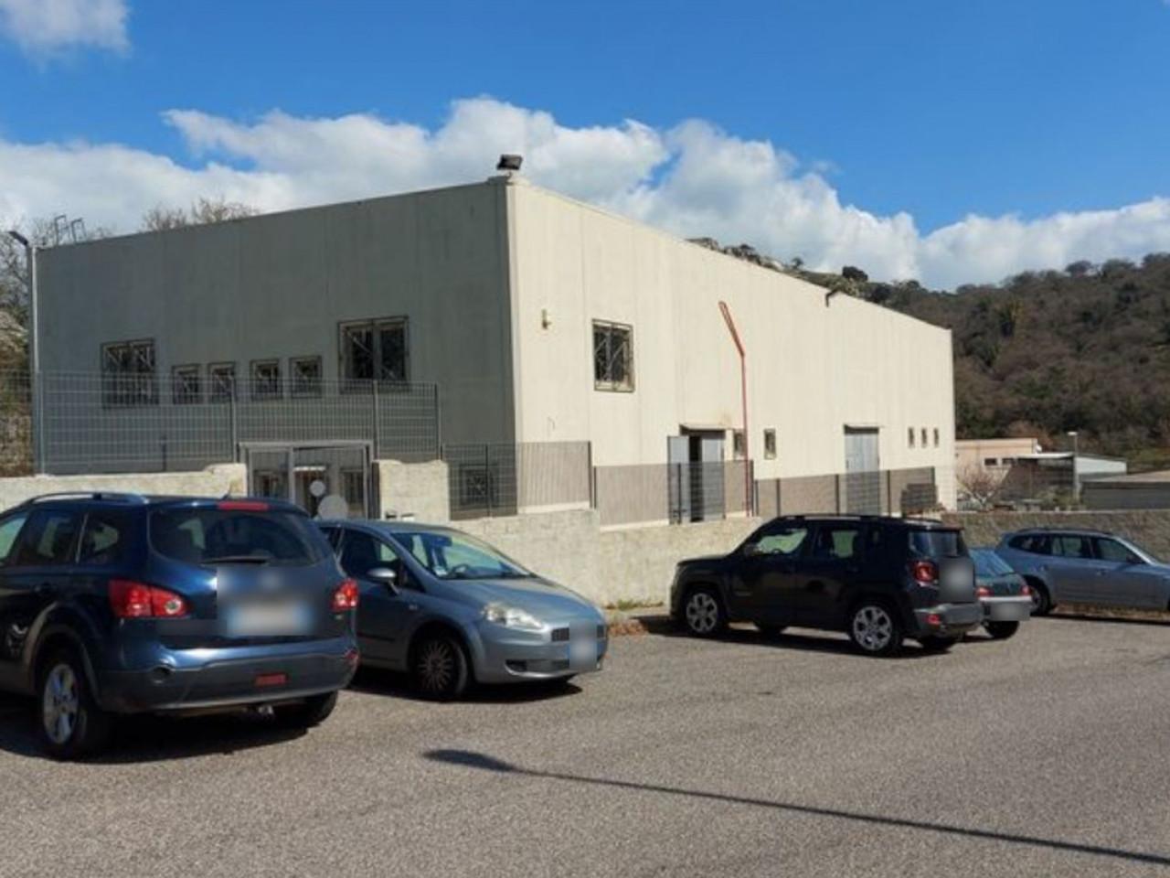 Capannone in vendita a Orani