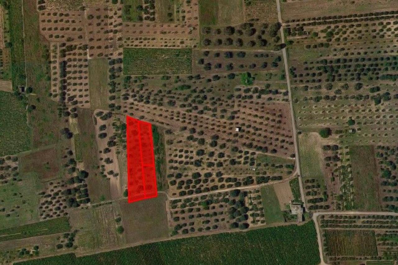Terreno agricolo in vendita a Campi Salentina