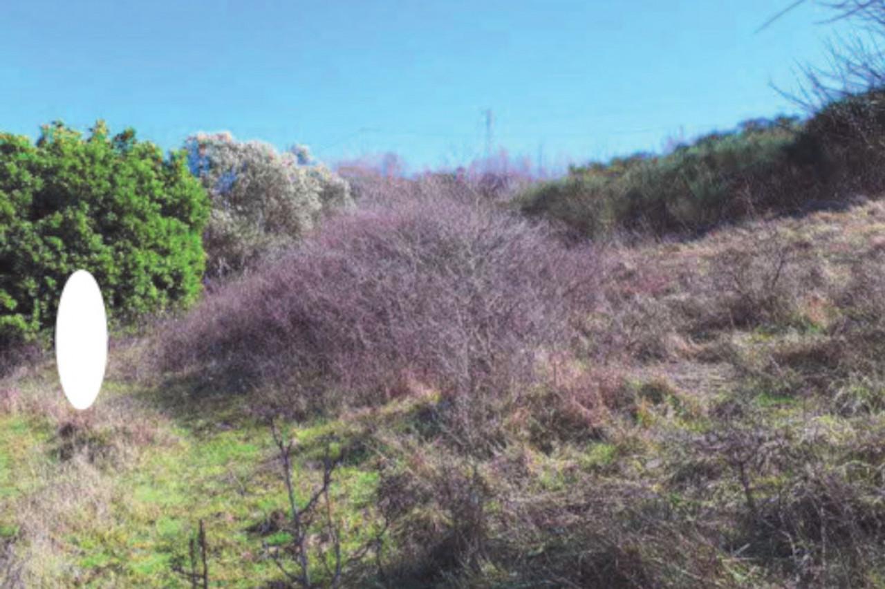 Terreno edificabile residenziale in Località Roscagatti, N. Snc, Orsara di Puglia