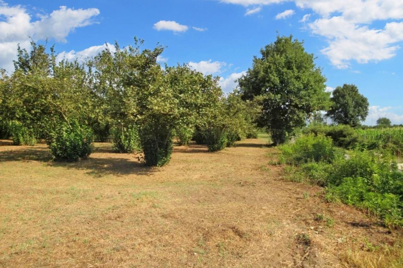 Terreno edificabile residenziale in Via Saudina - Località Pezza del Lago, N. Snc, Riardo