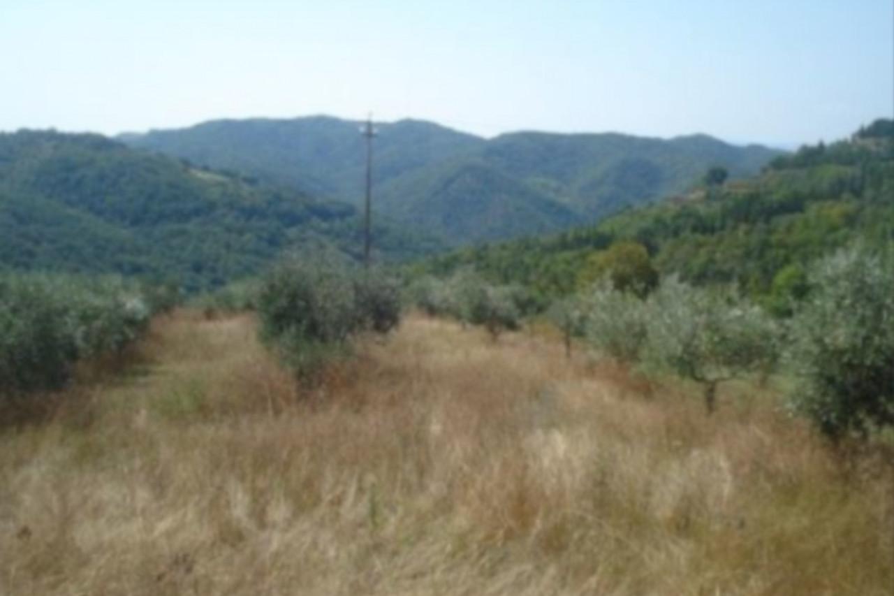 Terreno edificabile residenziale in vendita a Citta' Di Castello