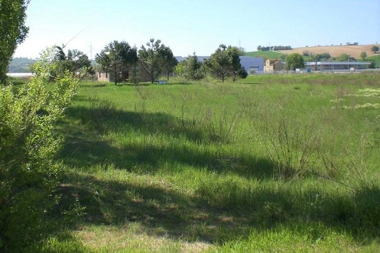 Terreno edificabile industriale in vendita a Osimo
