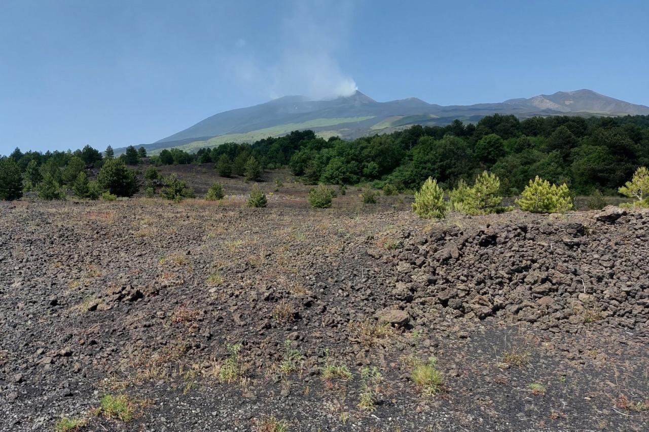Terreno agricolo in vendita a Ragalna
