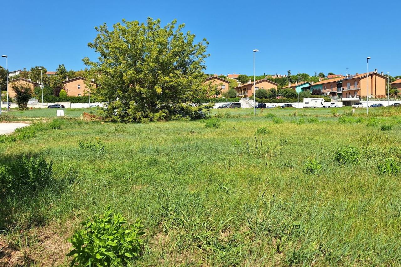 Terreno edificabile residenziale in vendita a Montemarciano