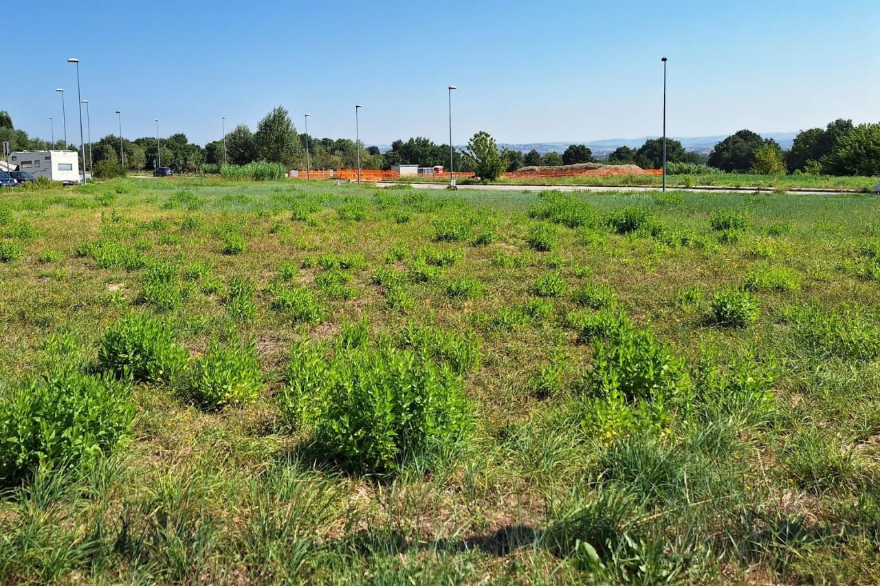Terreno edificabile residenziale in vendita a Montemarciano