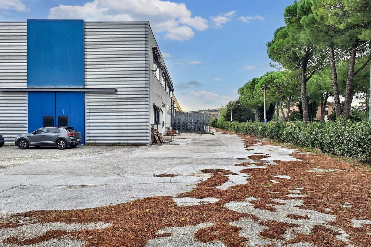 Capannone in vendita a Cartoceto