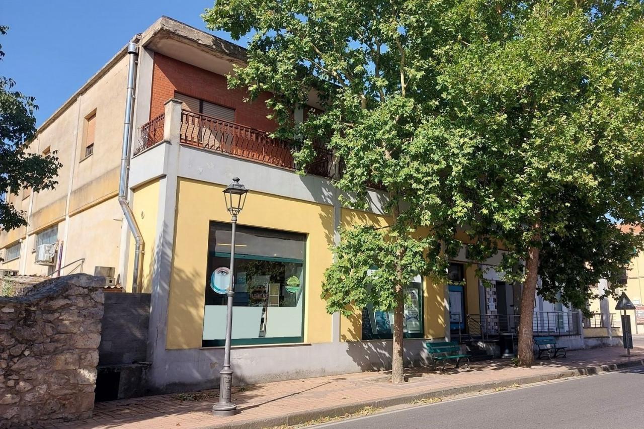 Appartamento in vendita a Isili