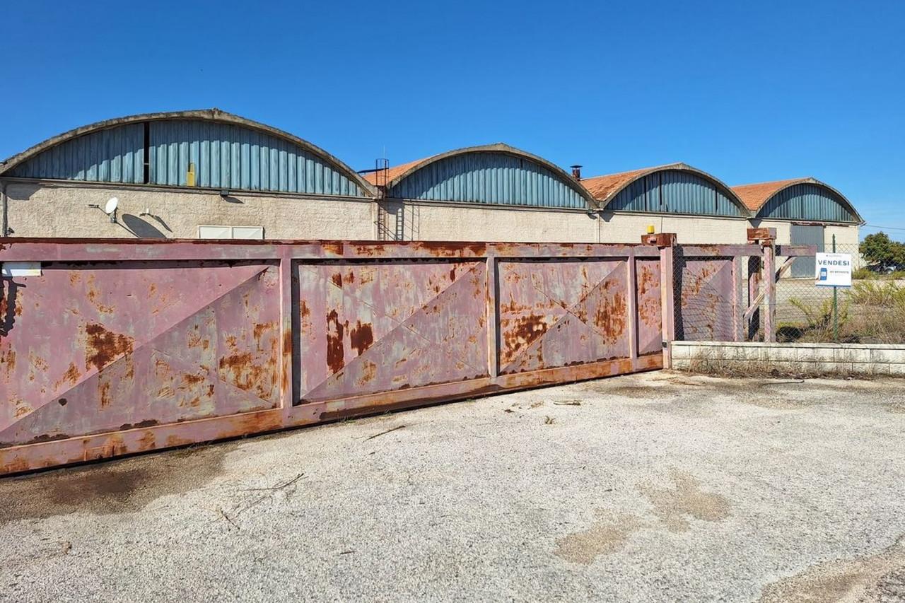 Capannone in vendita a Cannara