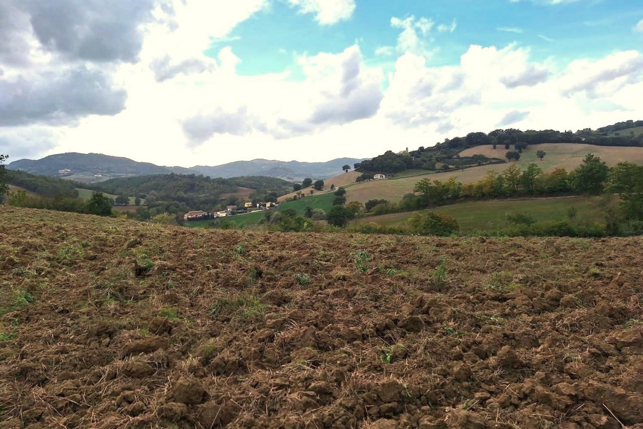 Terreno agricolo in vendita a Nocera Umbra