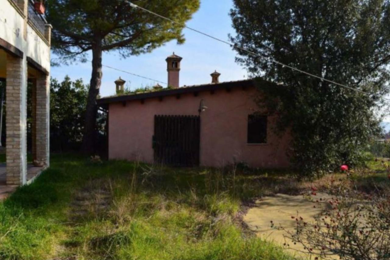 Azienda agricola in vendita a Citta' Sant'Angelo