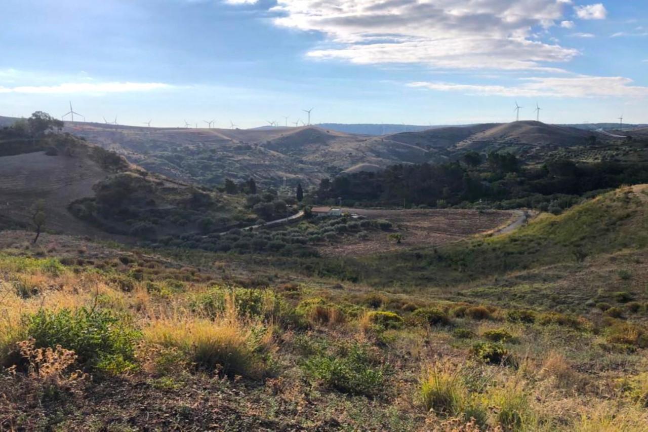 Terreno agricolo in vendita a Mineo