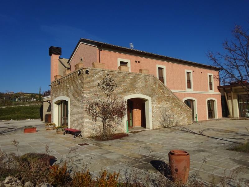 Azienda agricola in vendita a Morro D'Oro