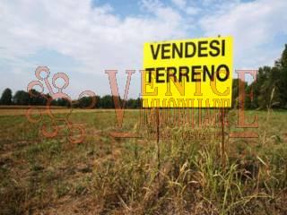 Terreno agricolo in vendita a Venezia