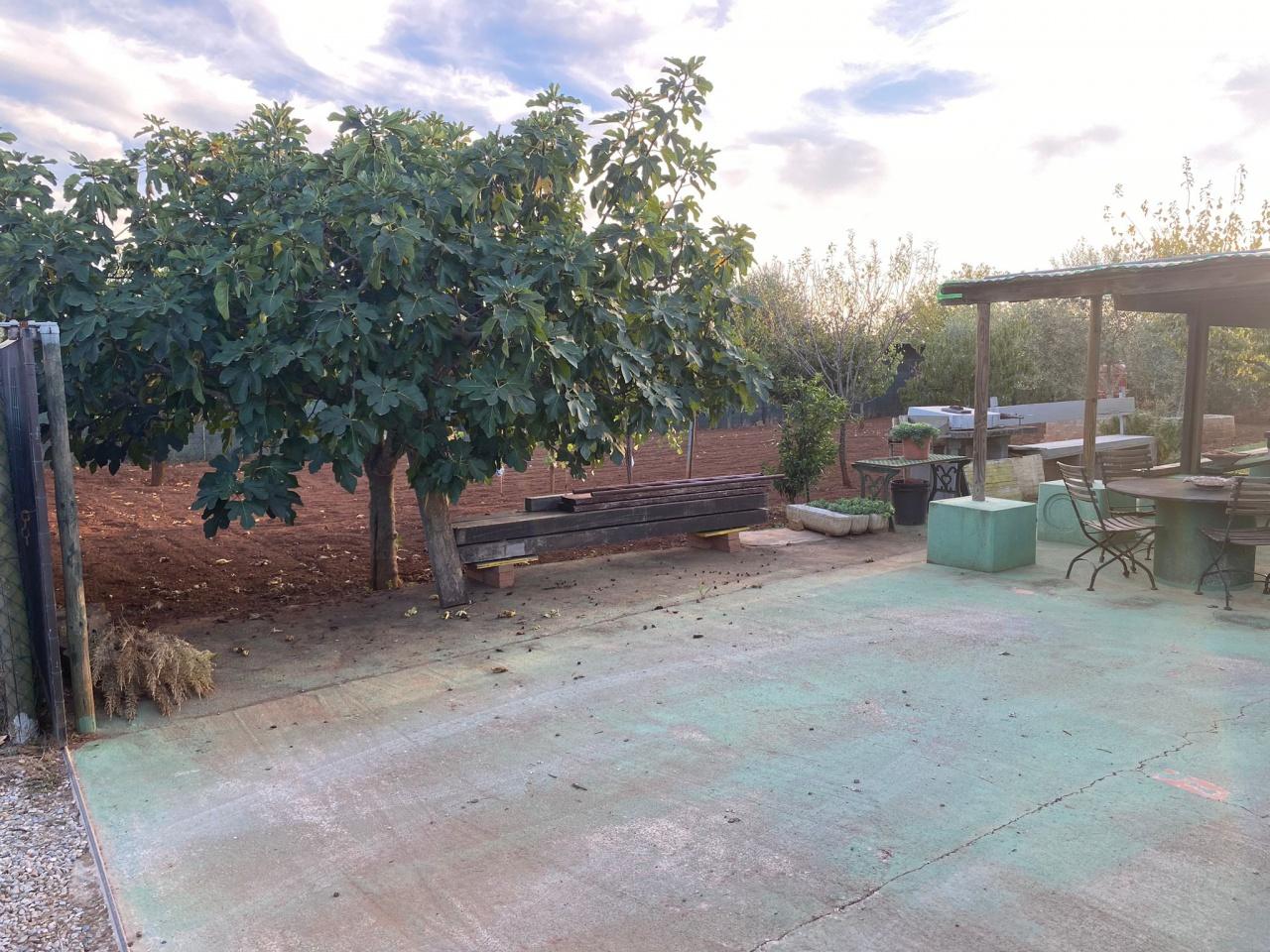 Terreno agricolo in vendita a Follonica