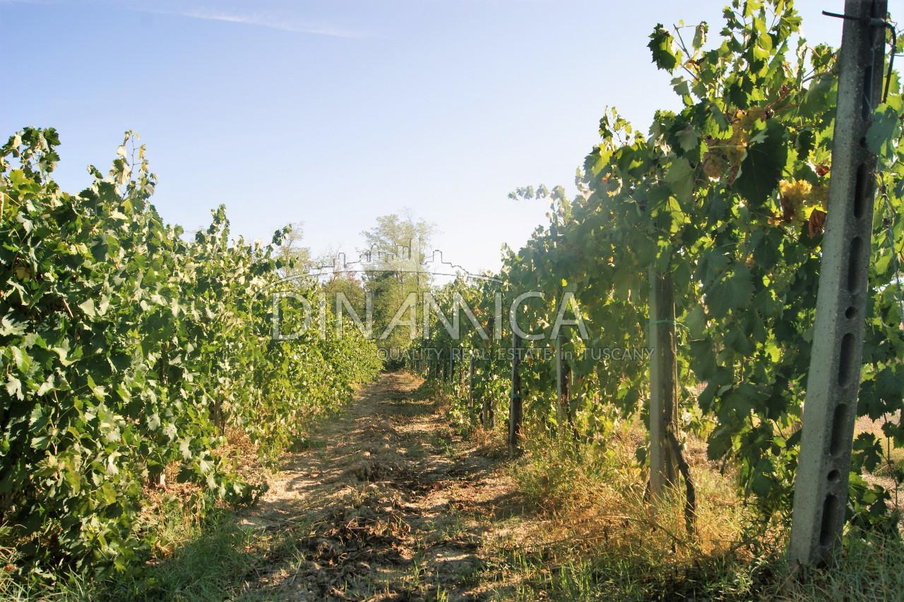 Cascina in vendita a Chianni
