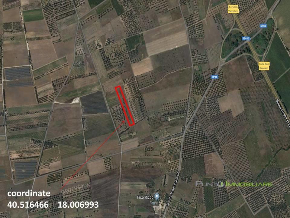Terreno edificabile in vendita a San Pietro Vernotico