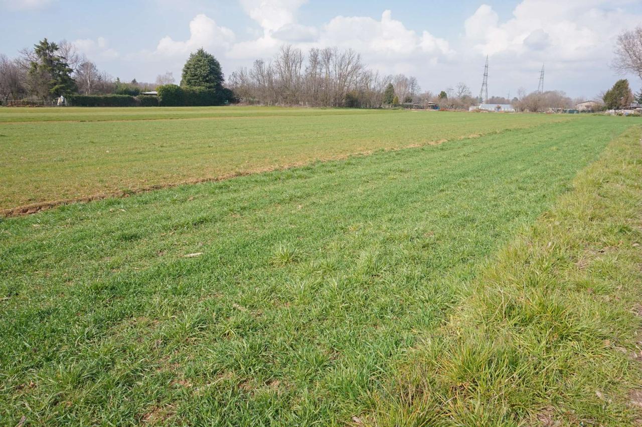 Terreno agricolo in vendita a Cislago