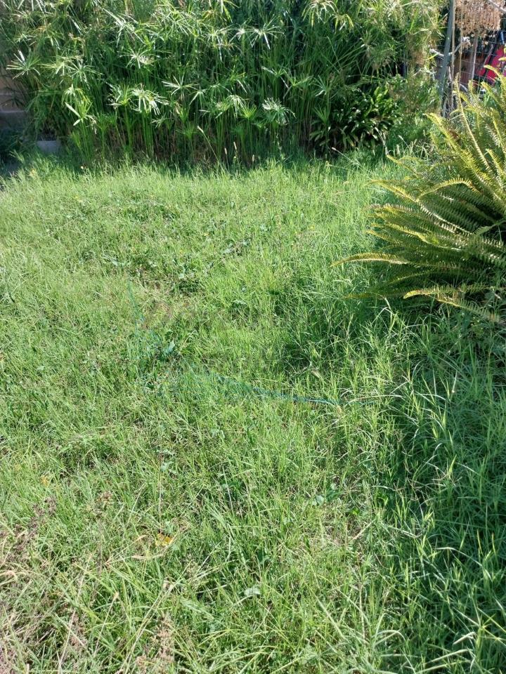 Appartamento in vendita a Rosignano Marittimo