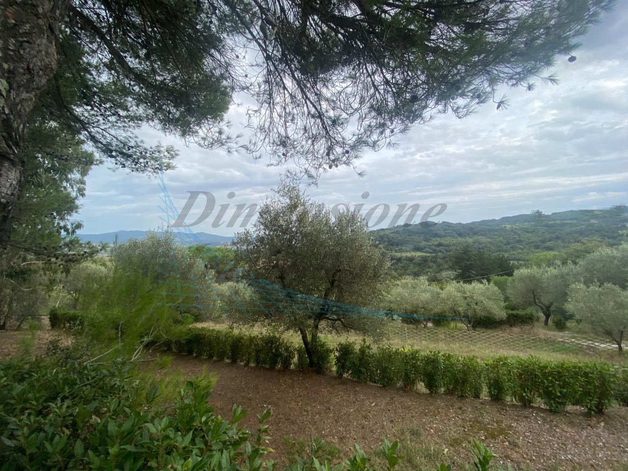 Casa indipendente in vendita a Rosignano Marittimo