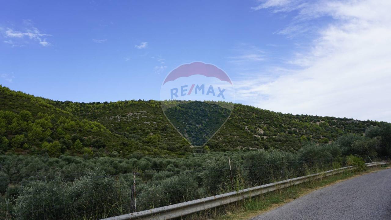 Terreno agricolo in vendita a Vieste