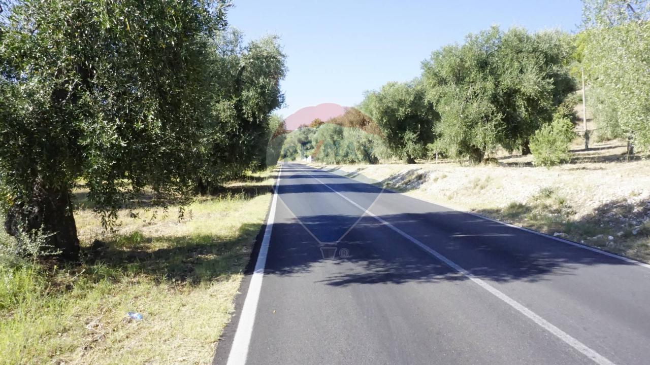 Terreno agricolo in vendita a Vieste