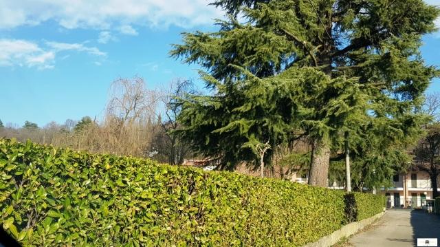 Terreno edificabile residenziale in vendita a Dueville