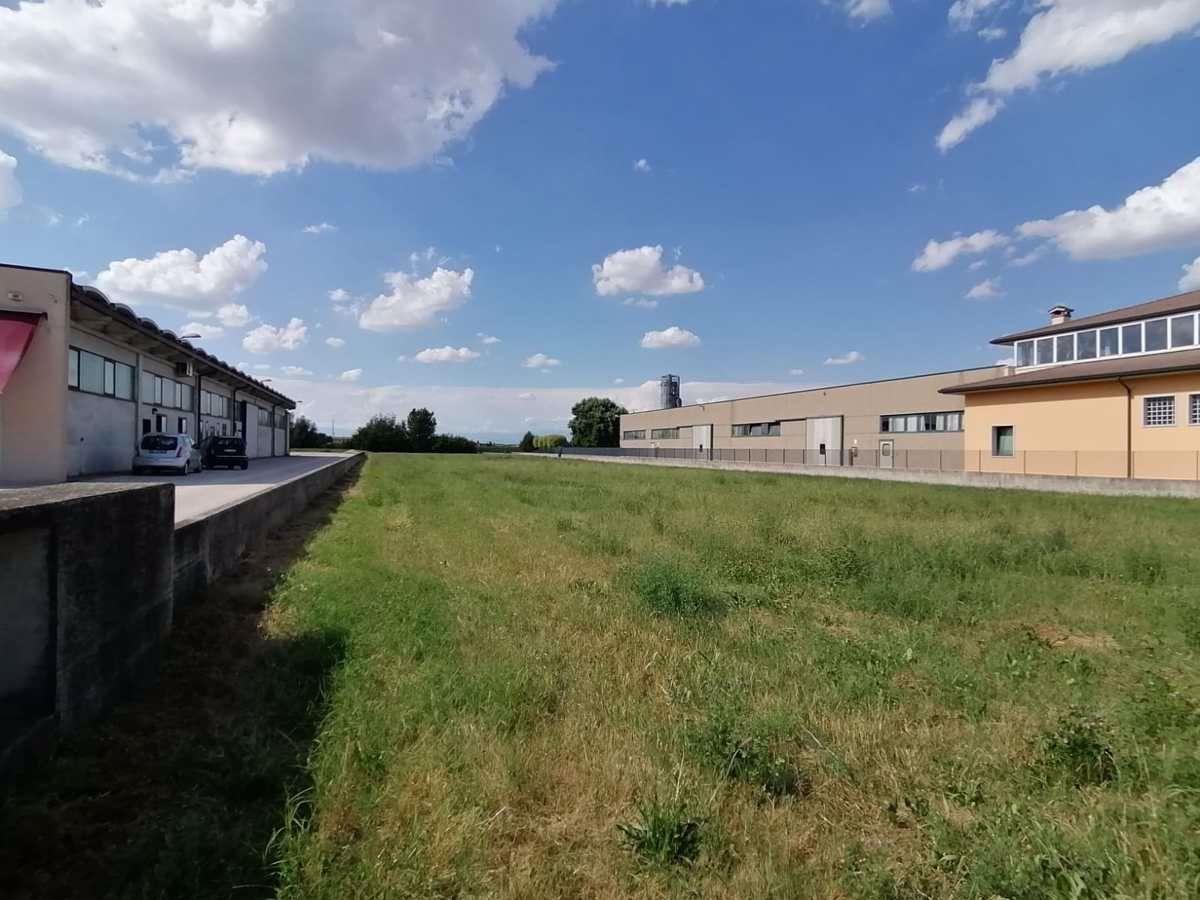 Terreno edificabile in vendita a Sanguinetto