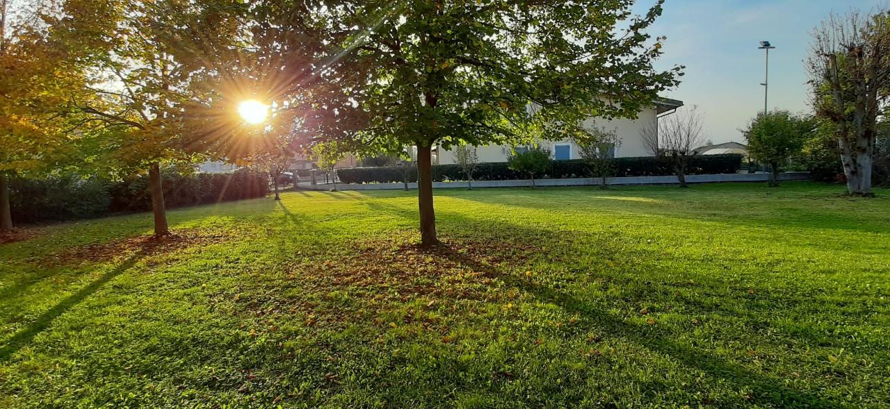 Terreno edificabile residenziale in vendita a Limena
