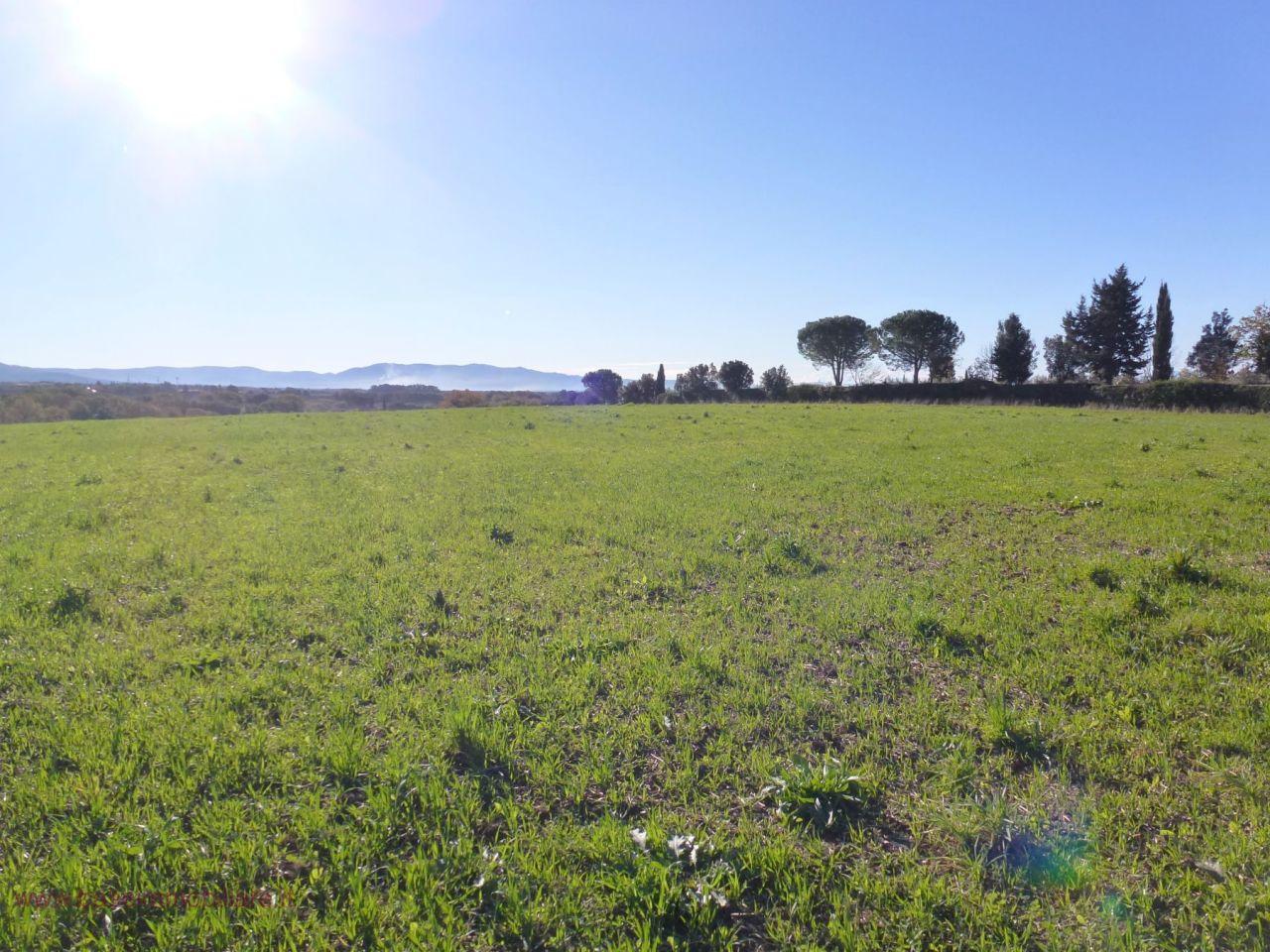 Terreno edificabile in vendita a Bibbona