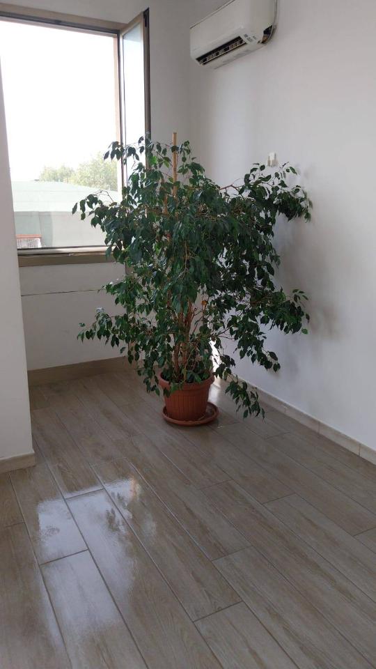 Appartamento in vendita/affitto a Bellaria-Igea Marina