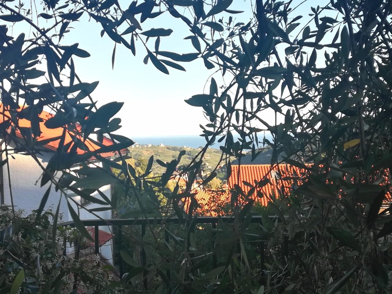 Villa a schiera in vendita a Leivi