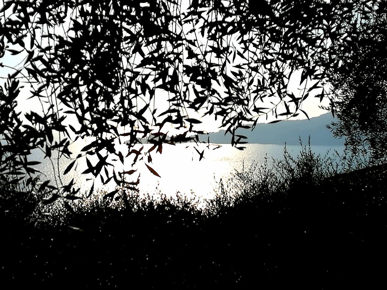 Appartamento in vendita a Chiavari